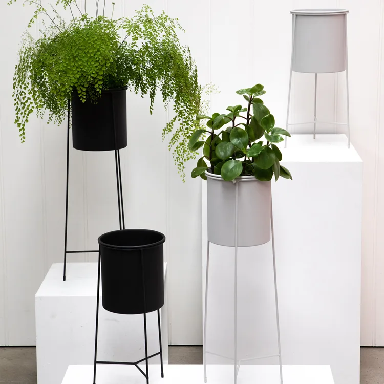 Asher Metal Planter Pot - Habitat101